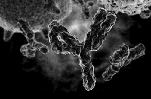 Bispecific Antibodies: ShareVault's Cancer Therapy Insights