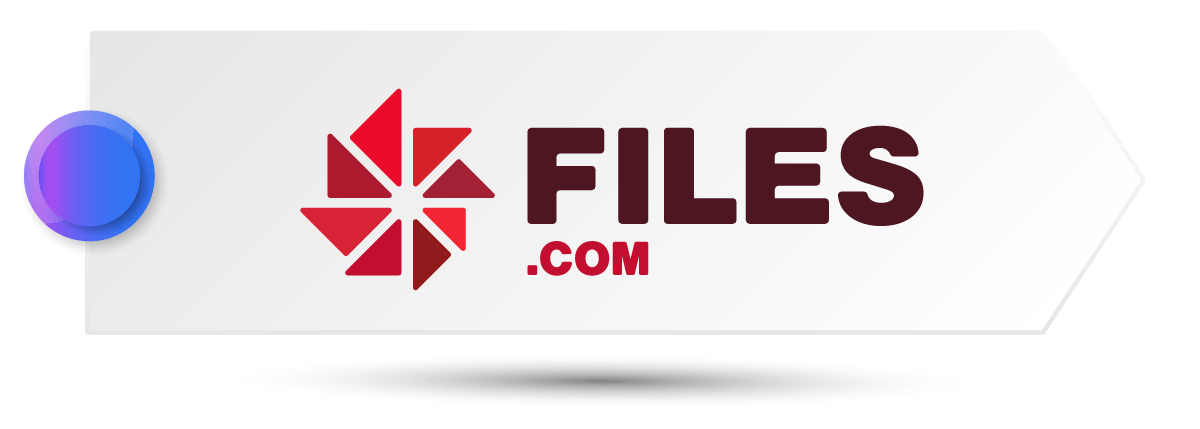 Secure File Sharing: Top Platforms Compared (2025)