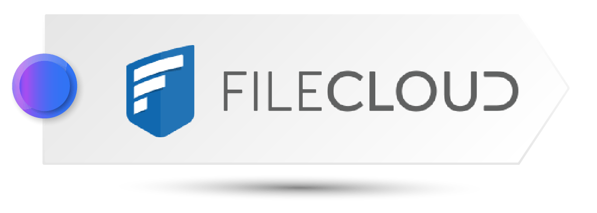 Secure File Sharing: Top Platforms Compared (2025)